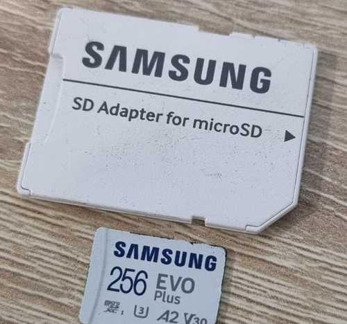 Карта Microsd Samsung Evo Plus 256 GB