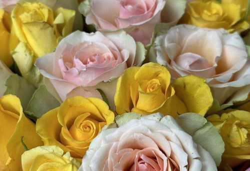 Цветы с доставкой Розы 25 шт
