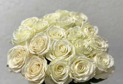 Белые розы премиум с доставкой