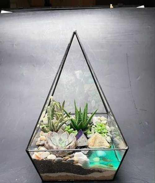 Флорариум финансовая пирамида аква