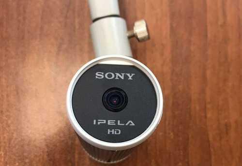 Камера Sony ipela hd SNC-CH110