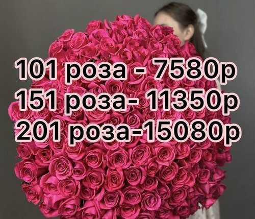 Букет роз большие букеты 101 роза 151 роза