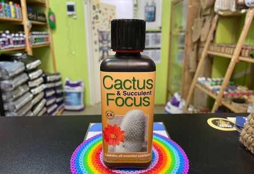 Cactus & Succulent Focus 300 мл