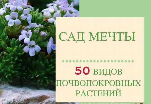 Почвопокровные многолетники растения для сада