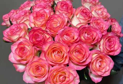 Букет роз с доставкой 35 роз/51 роза/101 роза