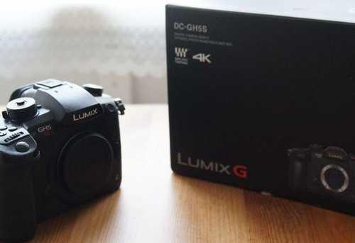 Panasonic lumix gh5s