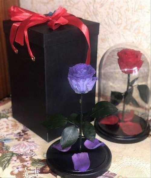 Фиолетовая вечная роза