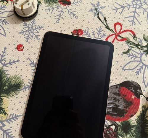 iPad mini 6 256gb