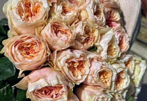 Пионовидные розы букет роз