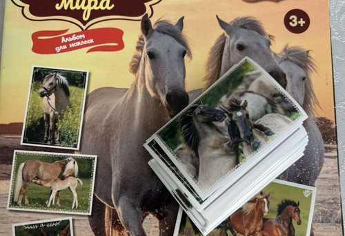 Наклейки для журнала Самые красивые лошади мира