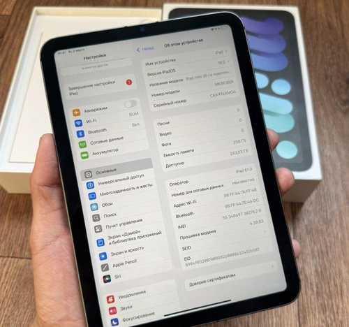 iPad Mini 6 256 Gb   Cellular 2021