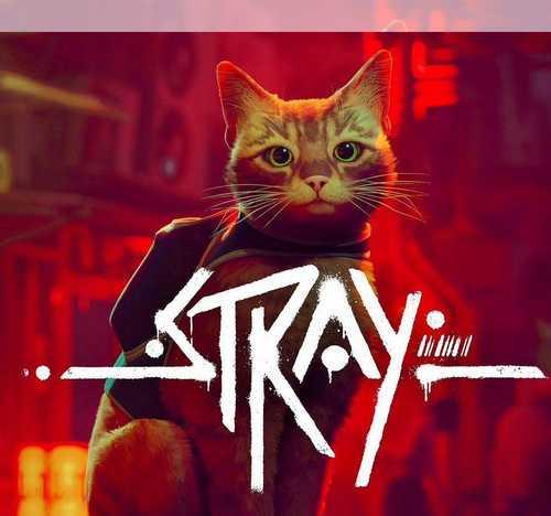 Stray-Nintendo Switch