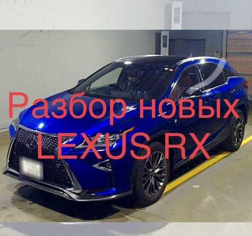 Разбор lexus RX 4 синий