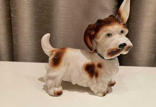 Фарфоровая статуэтка собачки, Германия