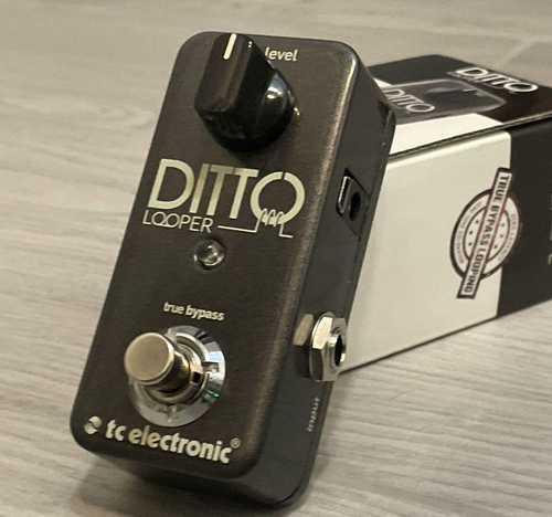 Гитарная педаль Ditto Looper T.C. electronic