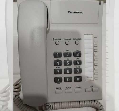 Panasonic