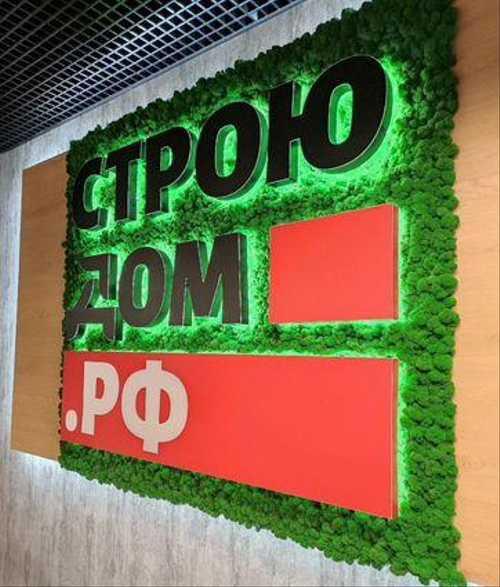 Мох стабилизированный. Картина
