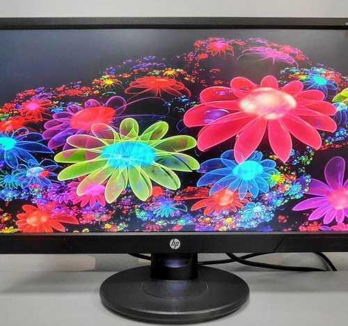 Монитор 20.7" HP ProDisplay V212a 1920x1080 TN+fil