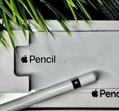 Apple pencil 1