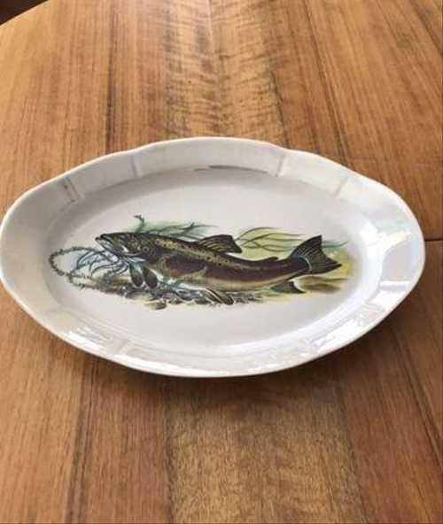 Тарелка для селедки под шубой или рыбного ассорти