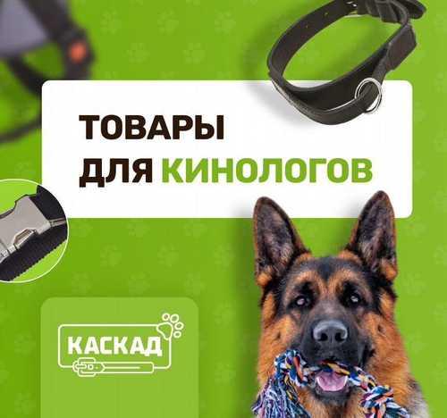 Профессиональная амуниция, экипировка кинологов