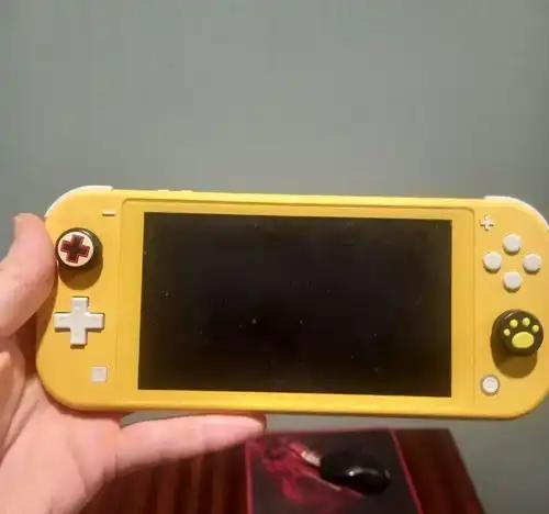 Nintendo switch lite и чехол