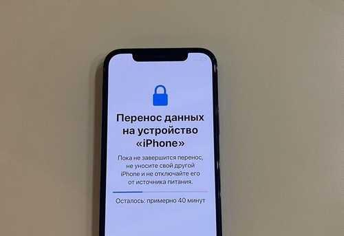 iPhone 12 Pro, 256 ГБ