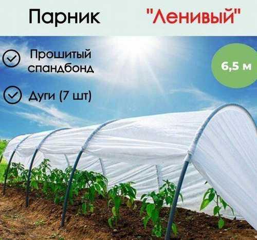 Парник Ленивый 6.5м