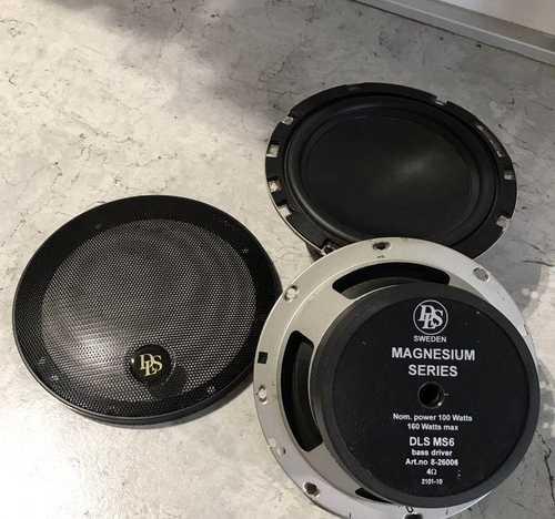 Dls ms6