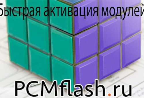 Ключ защиты pcmflash, быстрая активация модулей