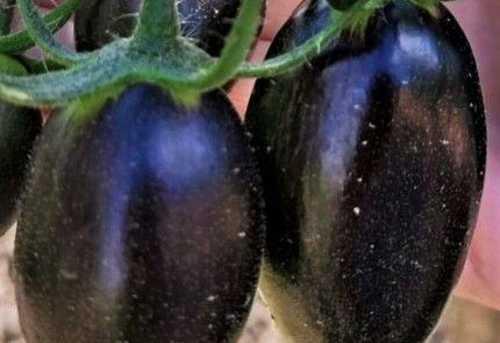 Семена томатов фитофтороустойчивых новых сортов