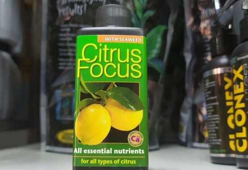 Удобрение для цитрусов Citrus Focus 100мл