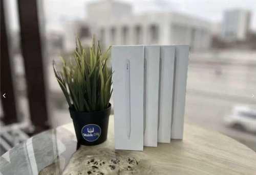 Стилус Apple Pencil (USB-C) (2023)