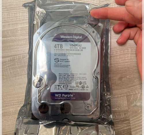 Внешний жесткий диск western digital purple 4Tb