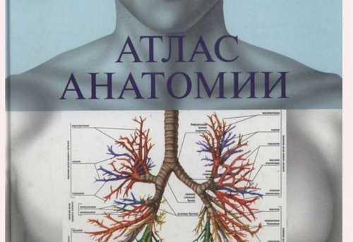 Атлас анатомии чловека