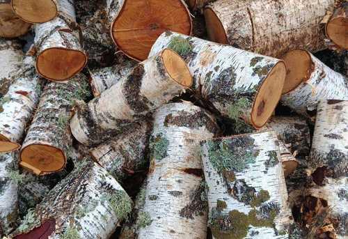 Берёза чурбаками колотые газель
