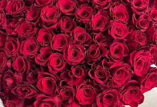 Букет из 101 красной розы(80см)