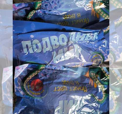 Подводный мир из кб
