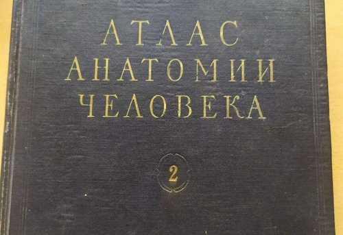 Атлас анатомии человека. Р. Д. Синельников 2