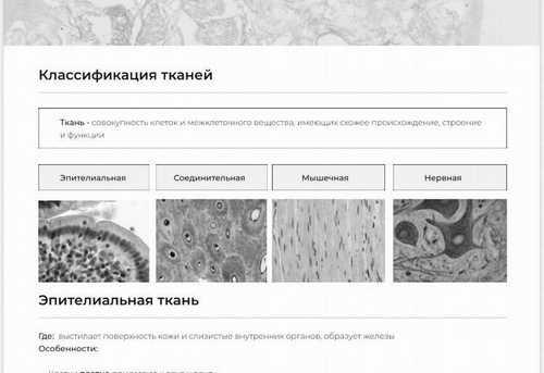 Конспекты егэ биология
