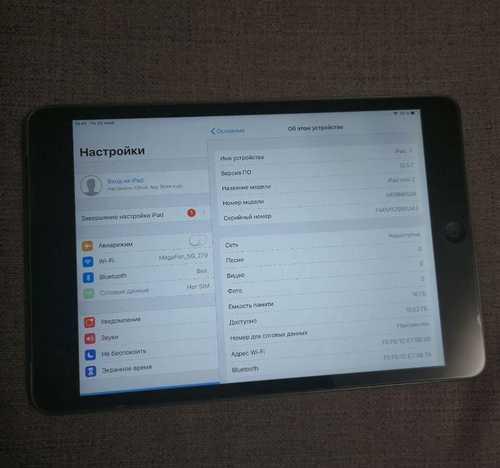 iPad mini 2