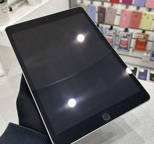 Apple iPad