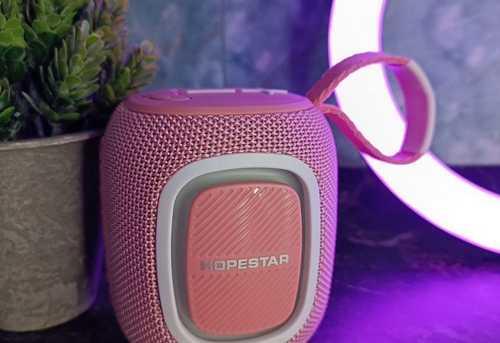 Колонка hopestar H60