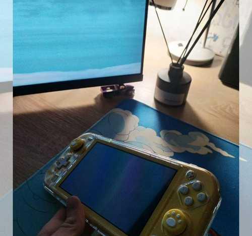 Nintendo switch lite