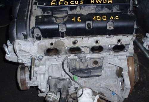 Двигатель shda Ford Focus 1.6i 100лс
