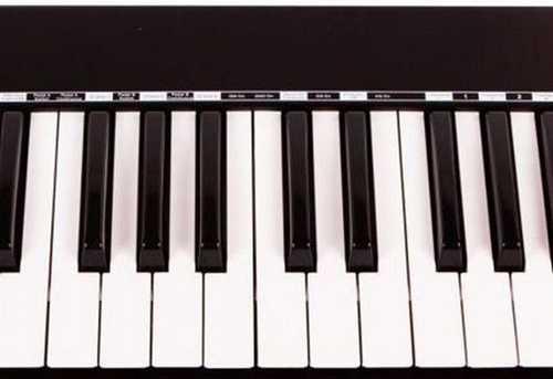 Axelvox KEY49J black миди-клавиатура
