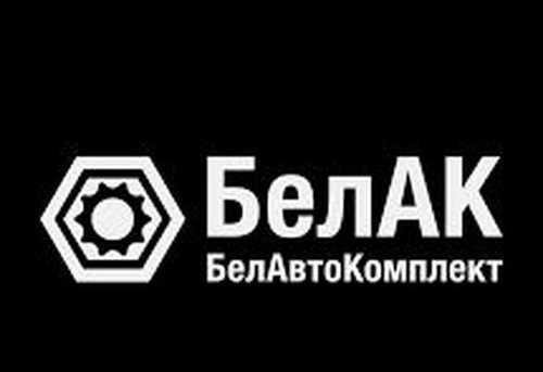 БЕЛАВТОКОМПЛЕКТ бак.07003 Набор инструментов профи