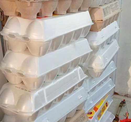 Форма для яиц