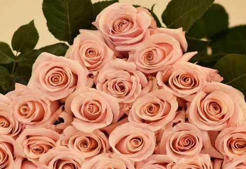 Цветы доставка Розы Тосно