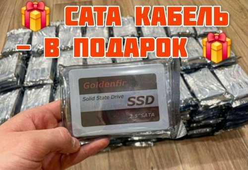 Ssd goldenfir 120/240 gb + 10п.ро